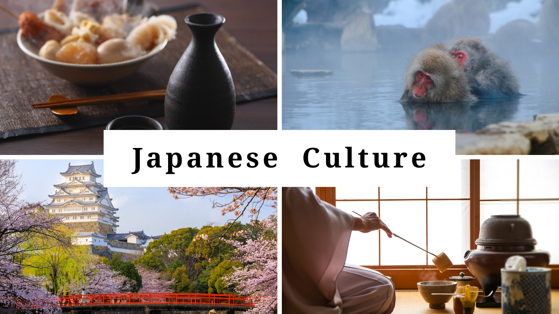 ANABA JAPAN Adds New Content: Sado Feature and Japanese Culture